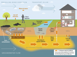 Toxicity and Risk Assessment – 14d